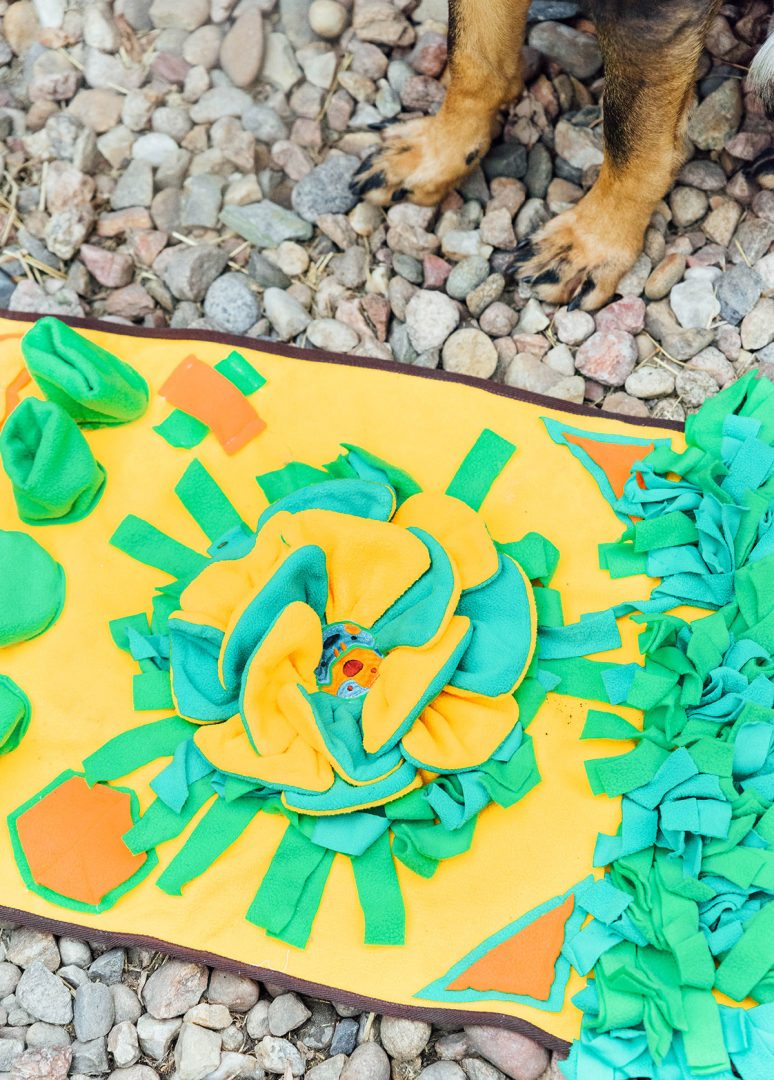 Dog Snuffle Mats (The Complete Guide!) | Bone Appetreat