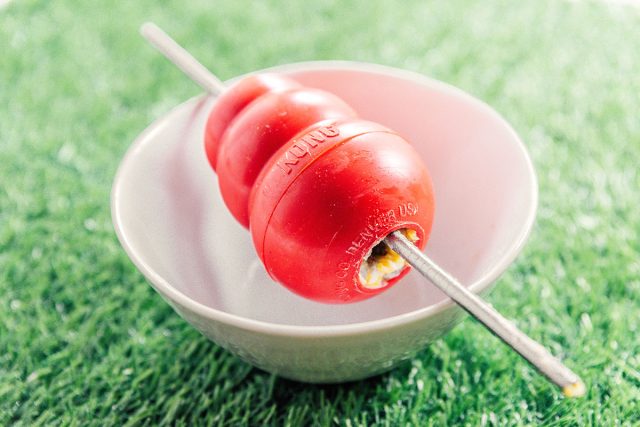 The Ultimate KONG Dog Toy Recipes Guide | Bone Appétreat