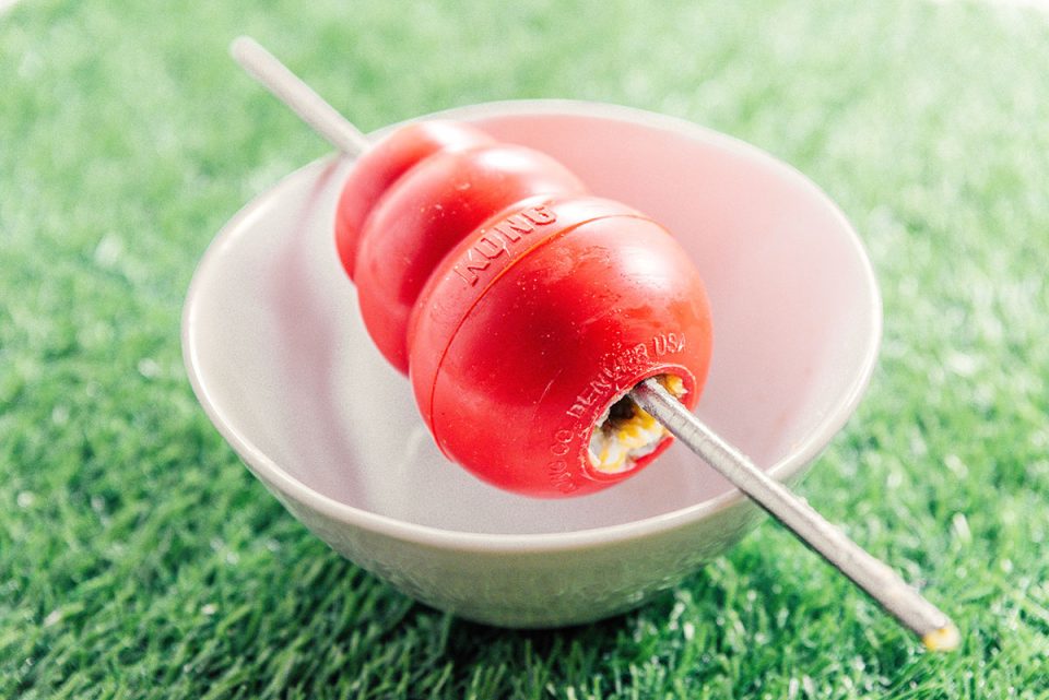 The Ultimate KONG Dog Toy Recipes Guide | Bone Appétreat