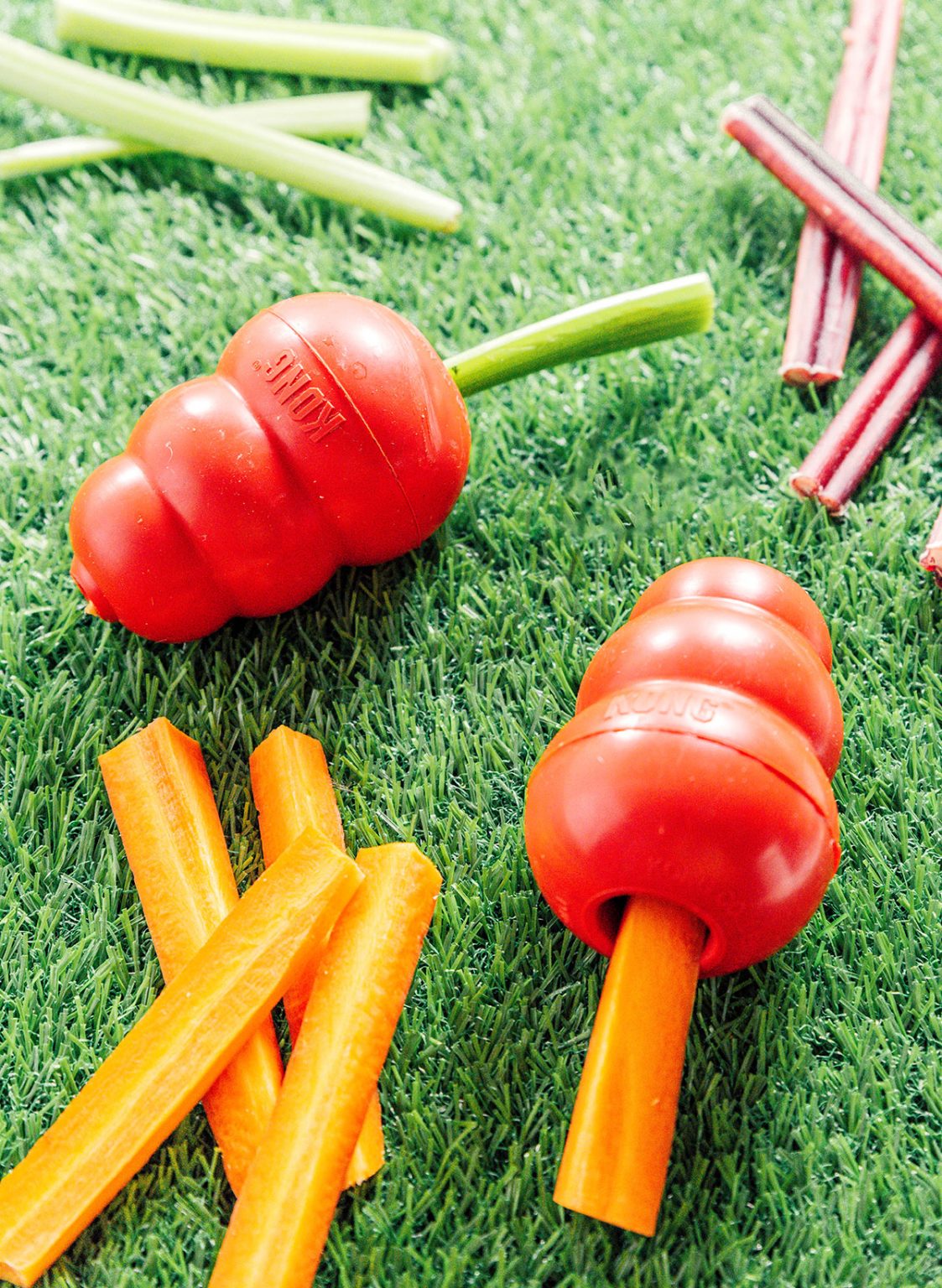 How to Stuff a KONG (+ 5 Easy KONG Recipes!) | Bone Appetreat