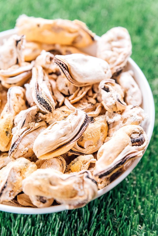 Green Lipped Mussels For Dogs: What Does The Science Say?