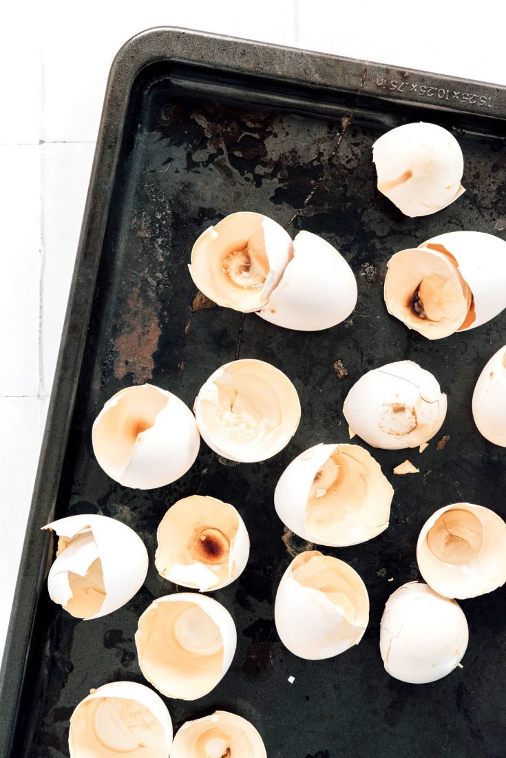 DIY Egg Shell Powder for Dogs | Bone Appetreat