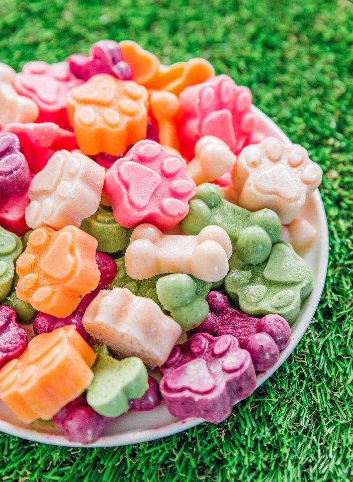 Easy Frozen Dog Treats 5 Flavors Bone Appetreat