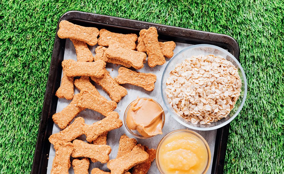 Healthy Homemade Dog Biscuits (3 Ingredients!) | Bone Appetreat