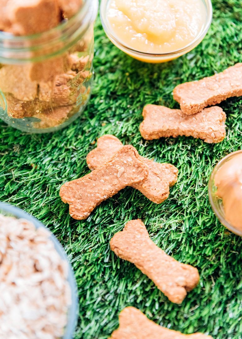 Healthy Homemade Dog Biscuits (3 Ingredients!) | Bone Appetreat
