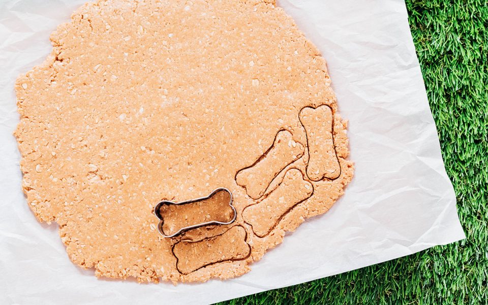 Healthy Homemade Dog Biscuits (3 Ingredients!) | Bone Appetreat
