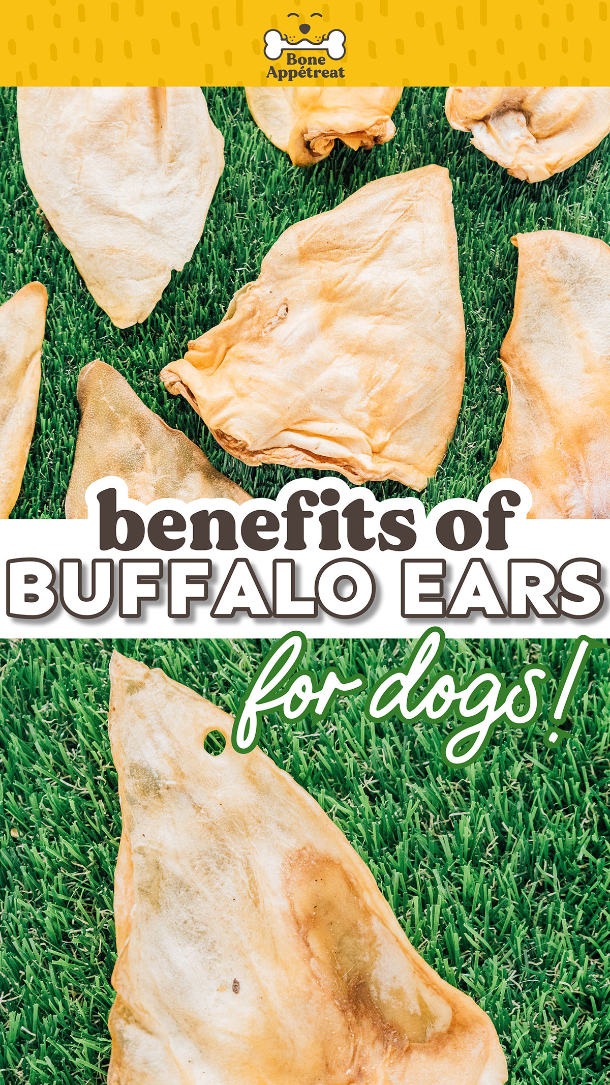 Cow Ears For Dogs 101: The Complete Guide | Bone Appetreat