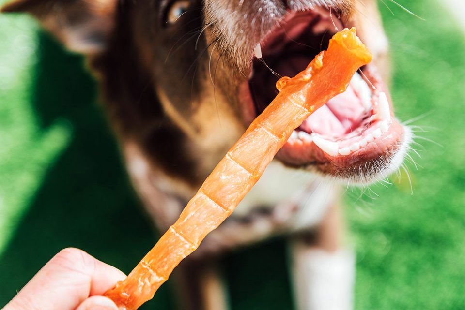 Homemade Chicken Jerky Dog Treats (In the Oven!) | Bone Appetreat