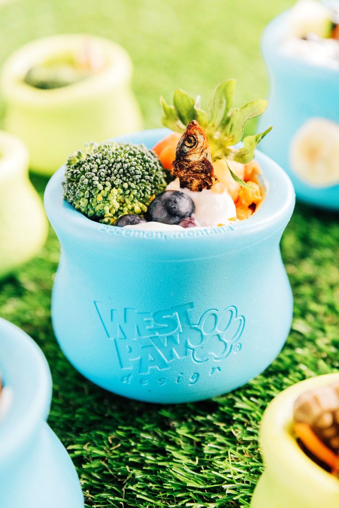 West Paw Toppl (The Complete Guide + Recipes!) | Bone Appetreat