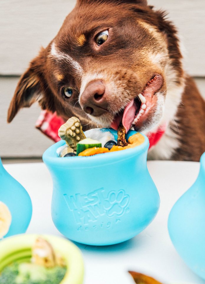 West Paw Toppl (The Complete Guide!) | Bone Appetreat