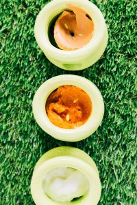 West Paw Toppl (The Complete Guide + Recipes!) | Bone Appetreat