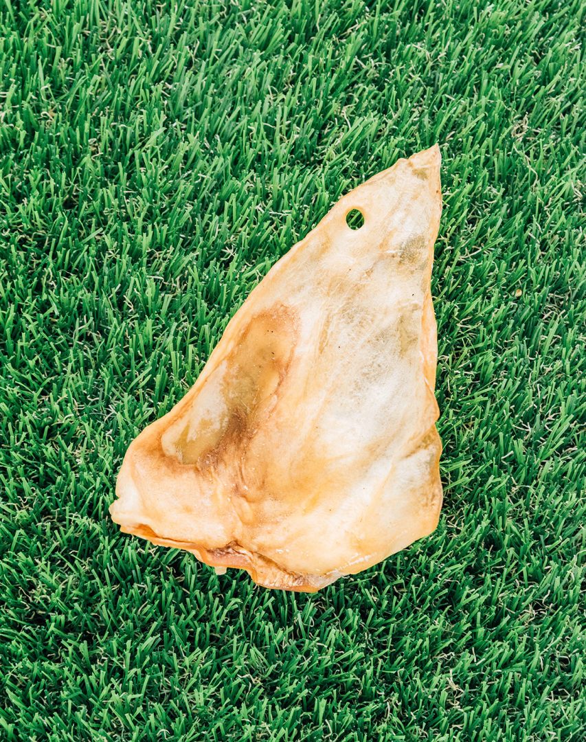 Cow Ears For Dogs 101: The Complete Guide | Bone Appetreat