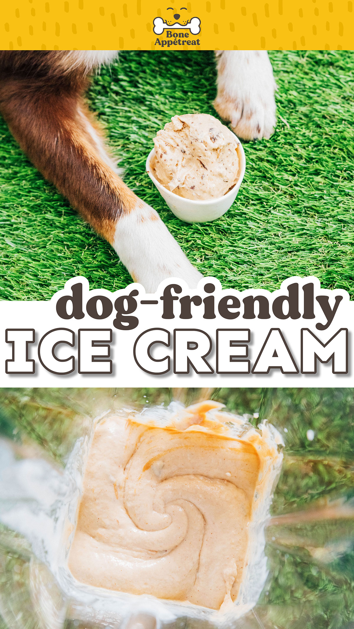 3 Ingredient Dog Ice Cream (In the Blender!) | Bone Appetreat