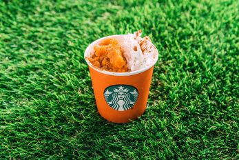 Homemade Puppuccino Recipe (5 Flavors!) | Bone Appetreat