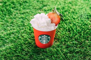 Homemade Puppuccino Recipe (5 Flavors!) | Bone Appetreat