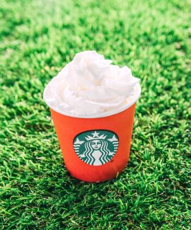 Homemade Puppuccino Recipe (5 Flavors!) | Bone Appetreat