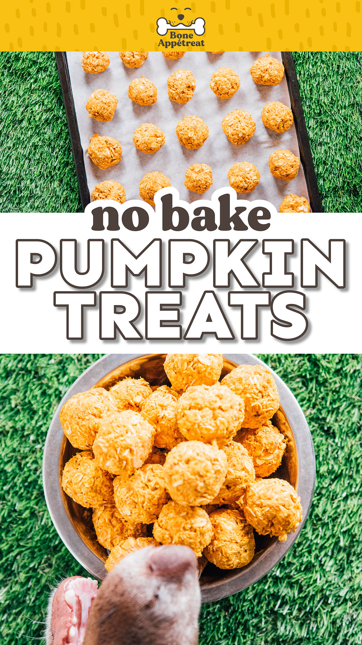 Easy Pumpkin Dog Treats (Stir, Roll, and Freeze!) | Bone Appetreat