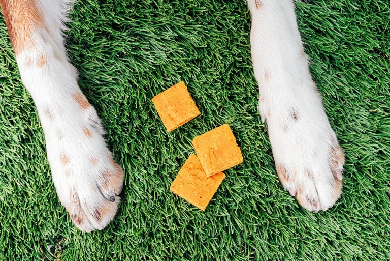 Peanut Butter & Pumpkin Grain Free Dog Treats Recipe | Bone Appetreat