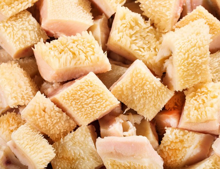 Tripe For Dogs: Types, Benefits, and Feeding Guide | Bone Appetreat