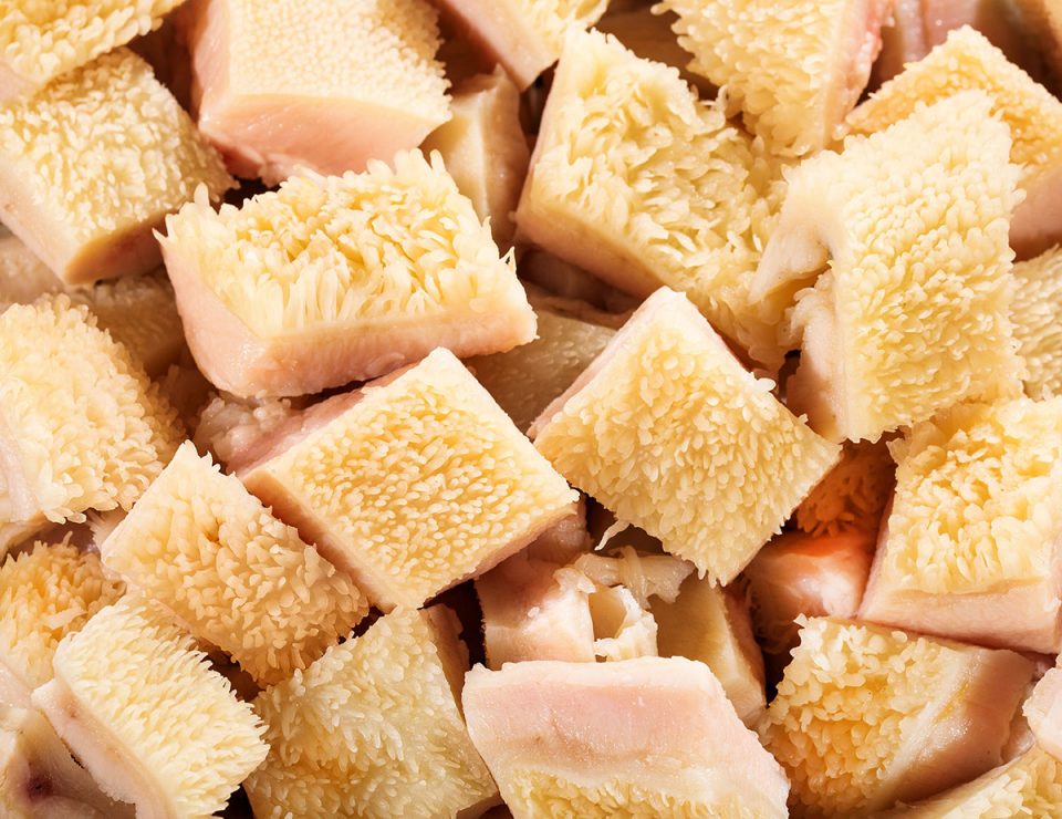 Tripe For Dogs: Types, Benefits, and Feeding Guide | Bone Appetreat