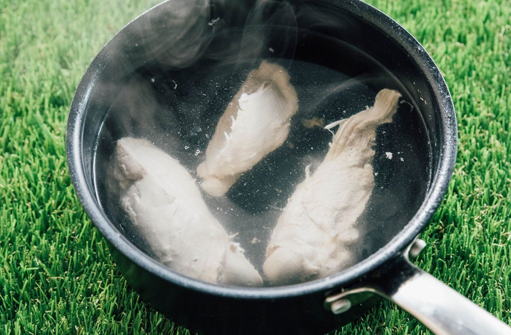 Bland Diet For Dogs (The Complete Guide!) (The Comprehensive Guide ...