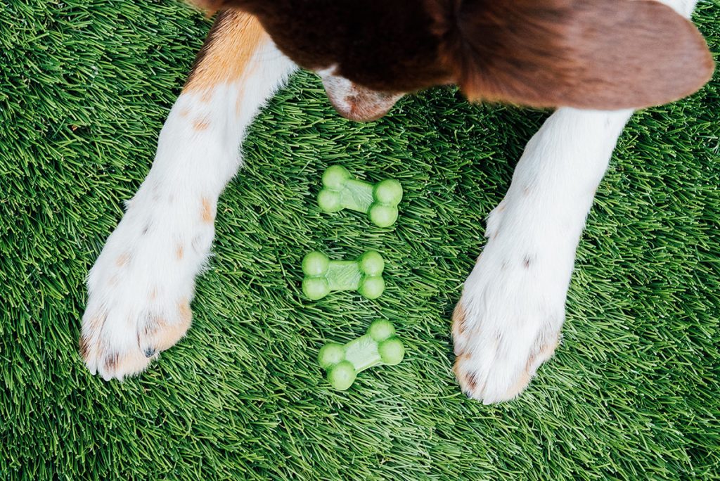 Homemade Dog Breath Mints Recipe | Bone Appetreat