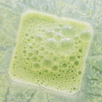 Homemade Dog Breath Mints Recipe | Bone Appetreat