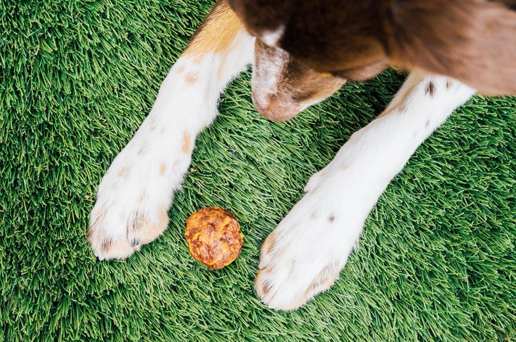 Easy Meatballs For Dogs (4 Ingredients) | Bone Appetreat