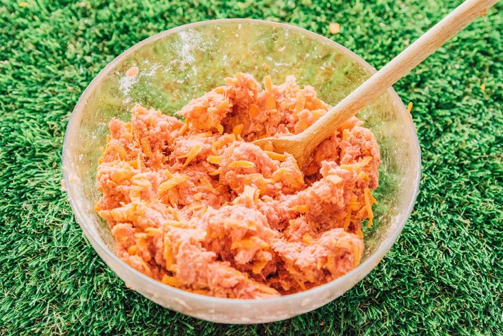 Easy Meatballs For Dogs (4 Ingredients) | Bone Appetreat