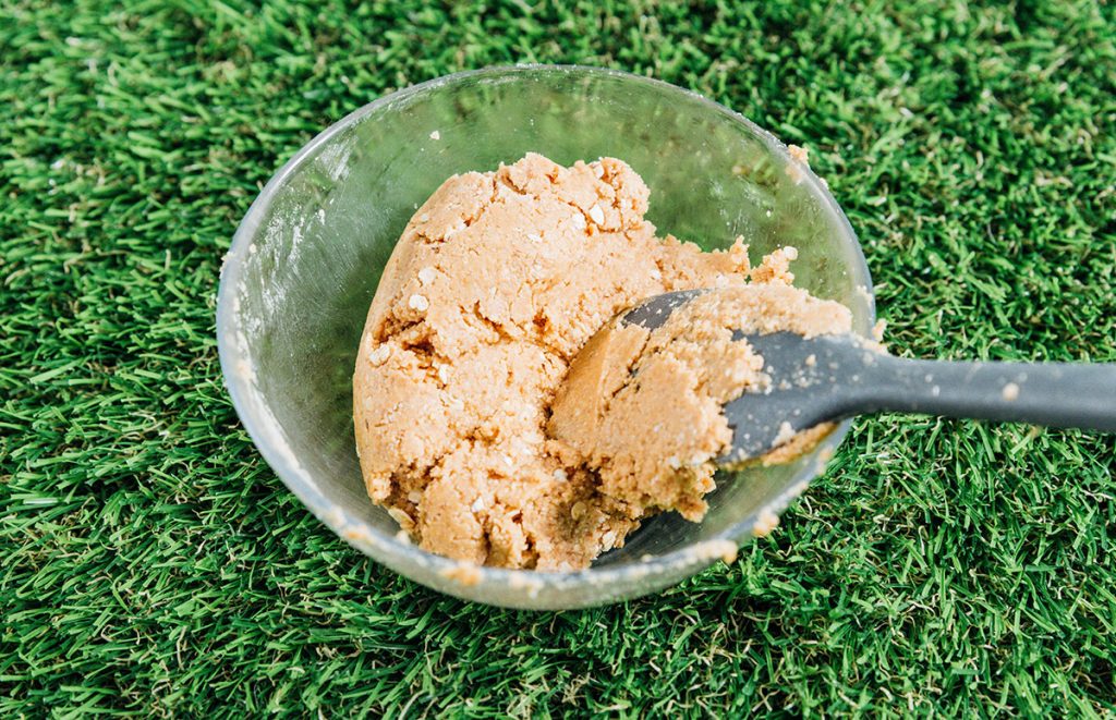 Homemade Pill Pockets For Dogs Recipe (3 Ingredients) | Bone Appetreat
