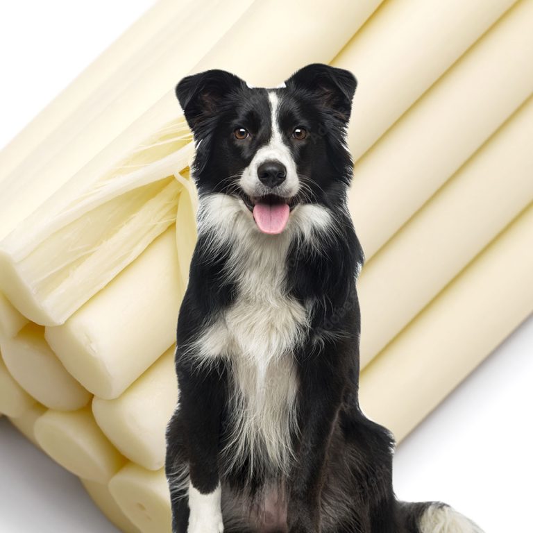 Bone Appétreat: Dog Food Recipes, Enrichment, and Nutrition