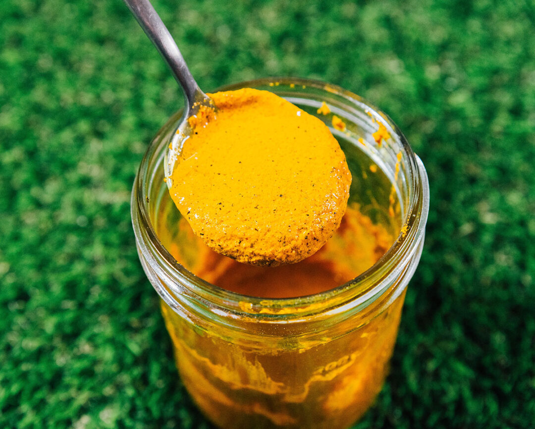Golden Paste For Dogs: Benefits and Easy Recipe | Bone Appetreat
